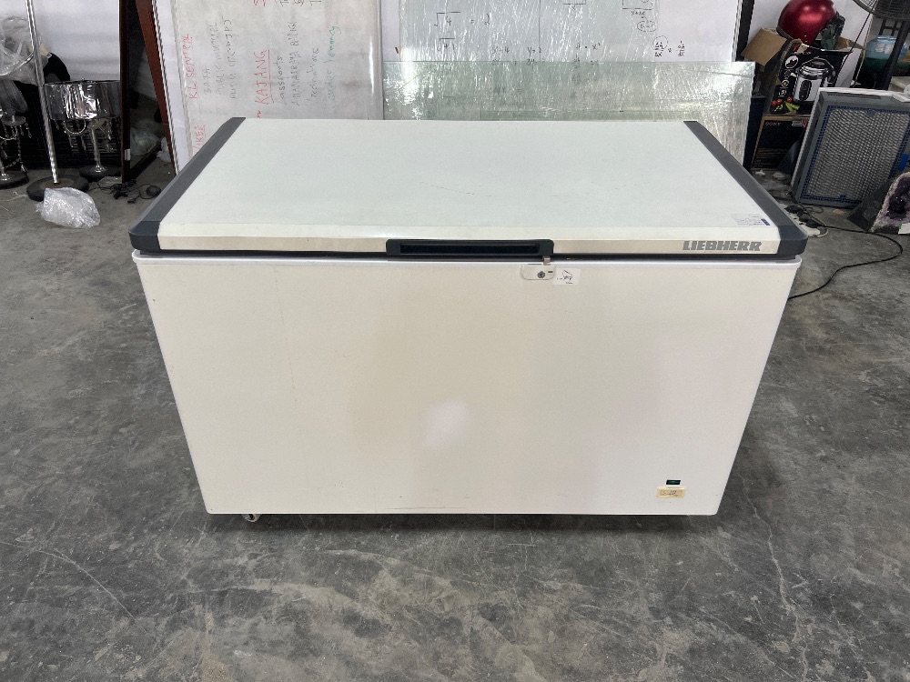 LIEBHERR Deep Freezer - Unearth Store