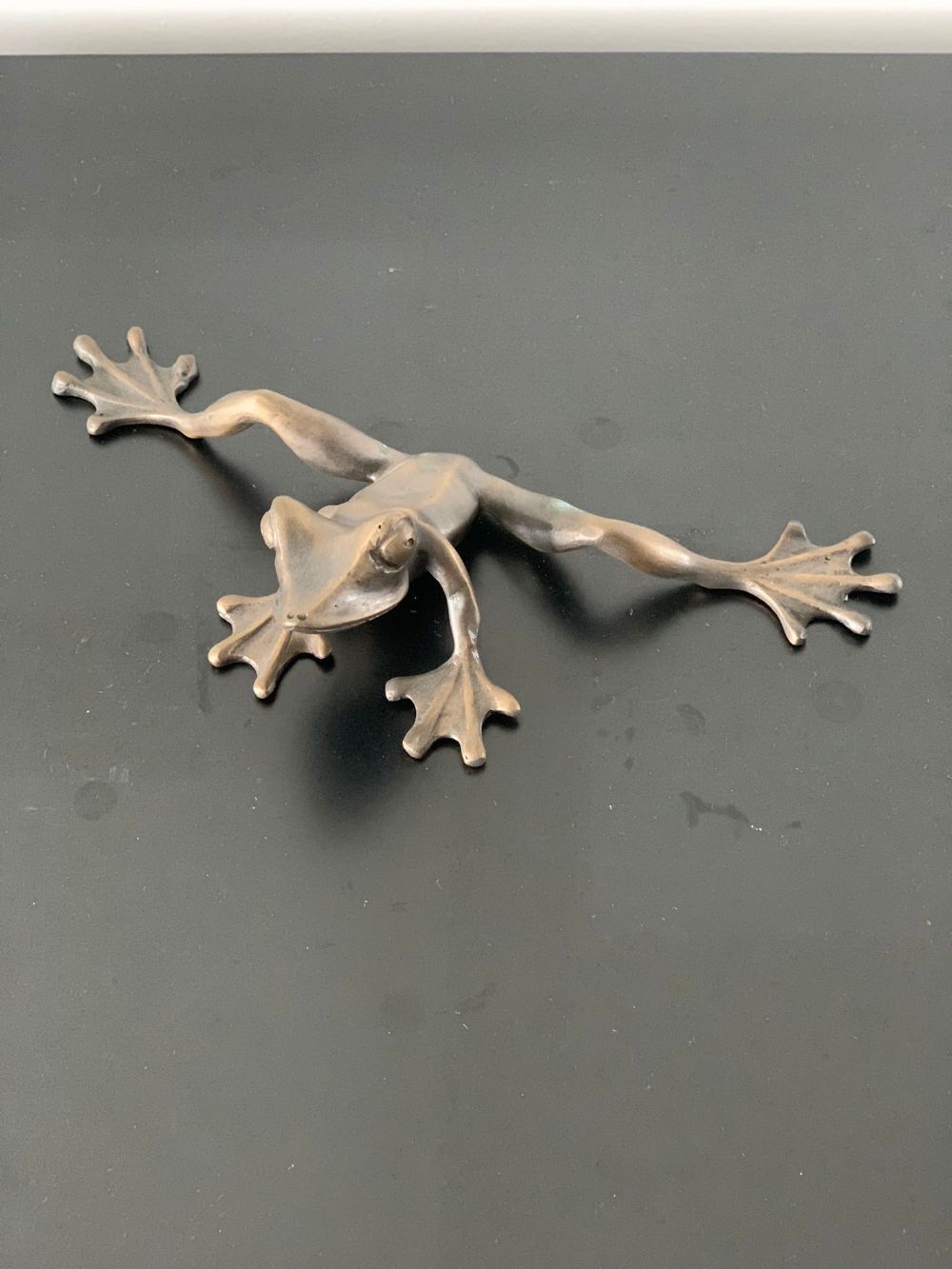 Metal Frog - Unearth Store