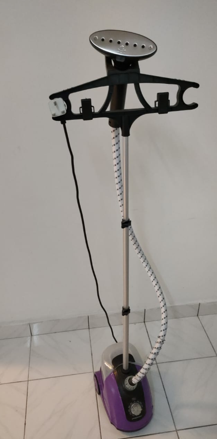 Standing Steam Iron - Unearth Store