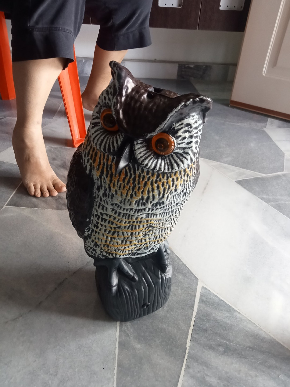 owl sensor's statue - Unearth Store