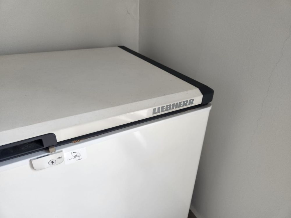 LIEBHERR Deep Freezer - Unearth Store