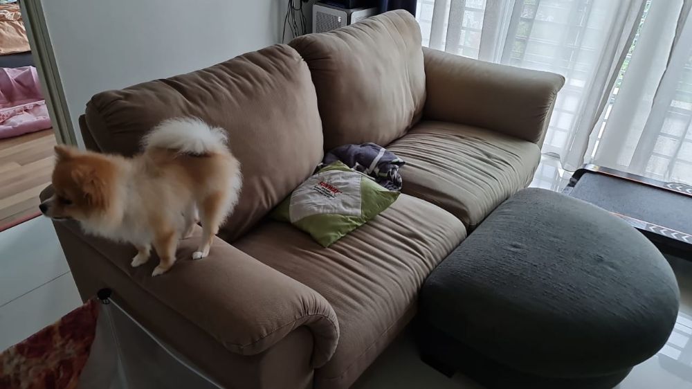 Brown Fabric 3-seater Sofa - Unearth Store